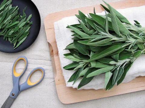 Kitchen Tip: How to Quickly Chiffonade Fresh Herbs | Good Life Eats