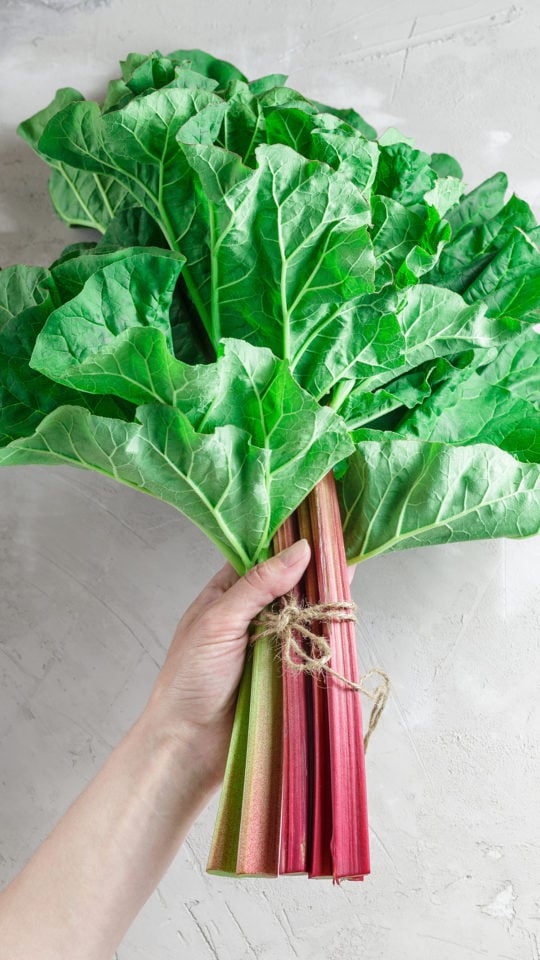 How to Freeze Rhubarb (Raw or Cooked) | Good Life Eats®