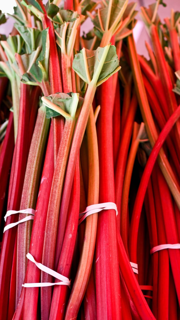 How to Freeze Rhubarb (Raw or Cooked) | Good Life Eats®