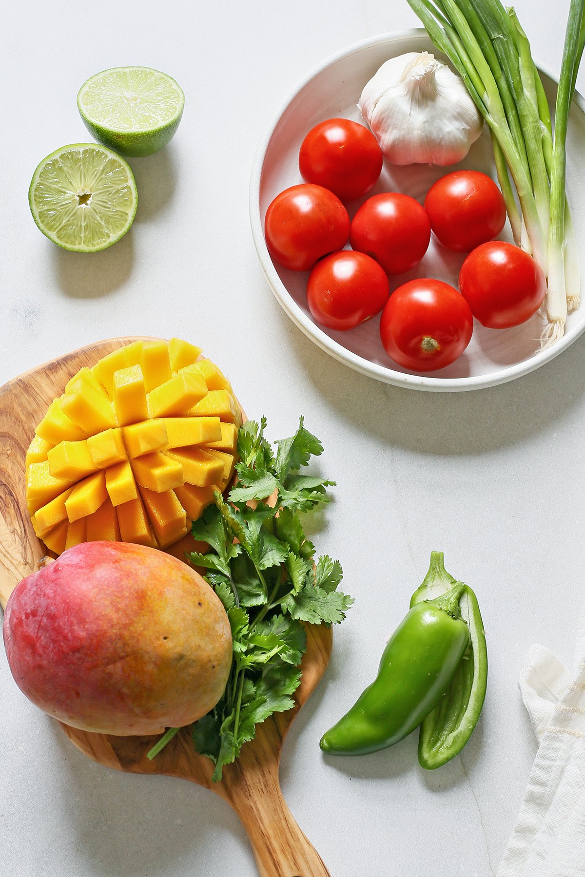 Recipe for Fresh Tomato Mango Salsa (So Easy!) | Good Life Eats